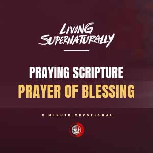 Colossians - The Invisible Becomes Visible (Daily Devotional) - by Ps ...