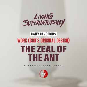 The Zeal Of The Ant (Daily Devotional) - by Ps Paul Emmanuel - All Peoples Church in Bangalore ...