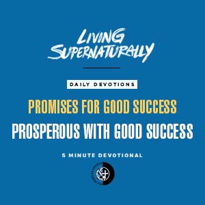 Promises For Good Success - Prosperous With Good Success (Daily ...
